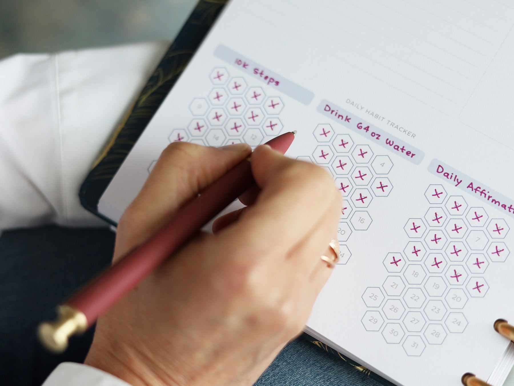 How to Use the Habit Tracker – inkWELL Press